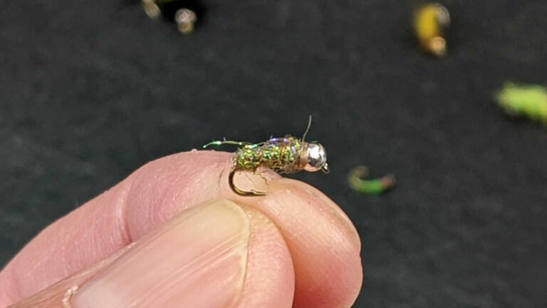 11 Best Caddisfly Patterns for the Fly Fisher (Nymphs, Dries with an ...