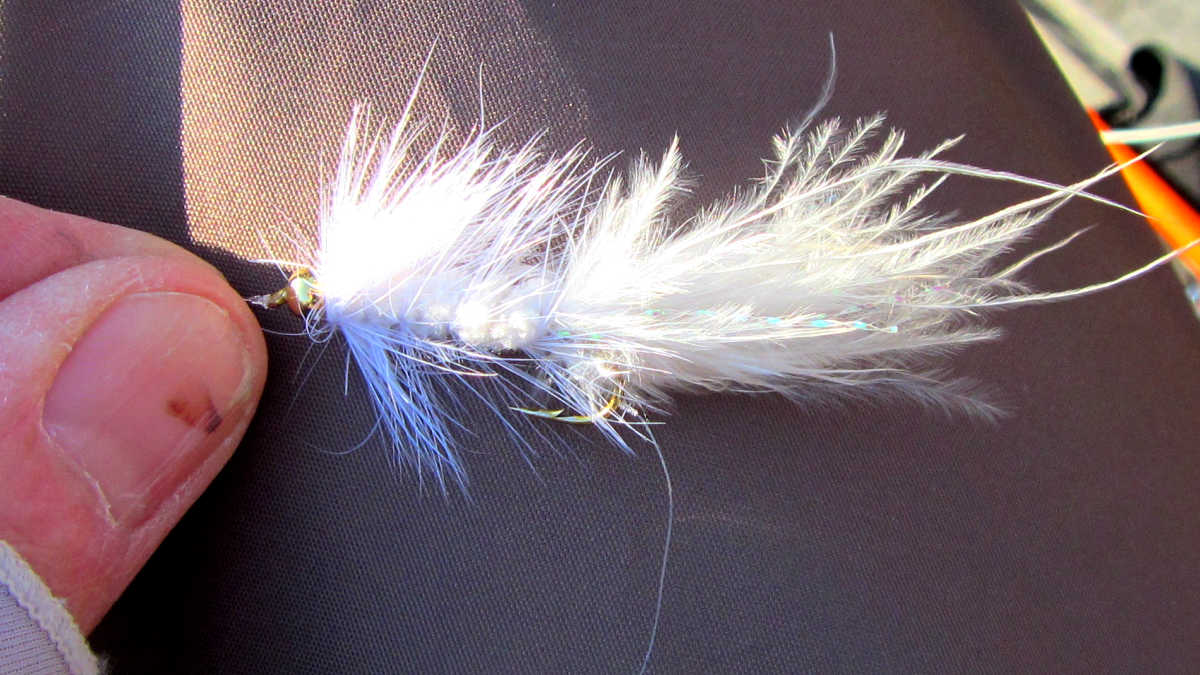 How to Pick the Best Color Flies for Trout - Guide Recommended