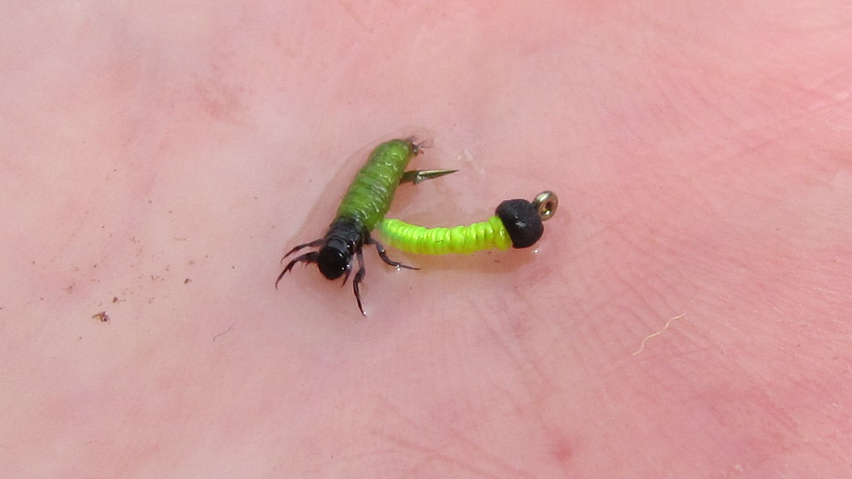 The Best Hook Size for Trout (Catch More: Size Matters) - Guide Recommended