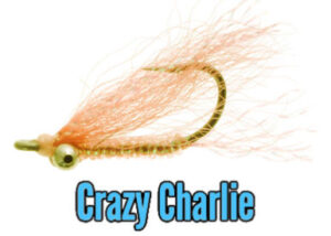 Fly Fishing in Hawaii: A Comprehensive Guide - Guide Recommended