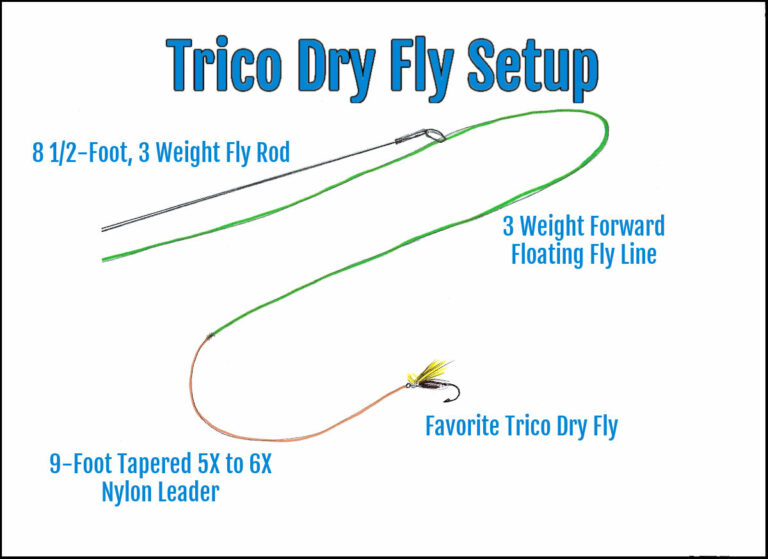 10 Best Trico Patterns (Nymphs, Dries with an Easy Fly to Tie) - Guide ...