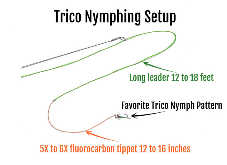 10 Best Trico Patterns (Nymphs, Dries with an Easy Fly to Tie) - Guide ...