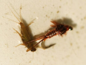 10 Best Trico Patterns (Nymphs, Dries with an Easy Fly to Tie) - Guide ...