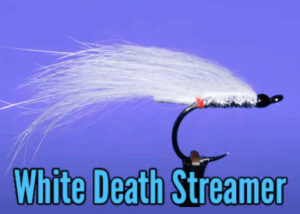 How to Pick the Best Color Flies for Trout - Guide Recommended