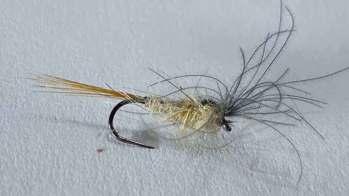 The 11 Best Emerger Fly Patterns for Successful Trout Fishing - Guide ...