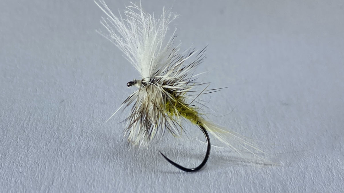 The 11 Best Emerger Fly Patterns for Successful Trout Fishing - Guide ...