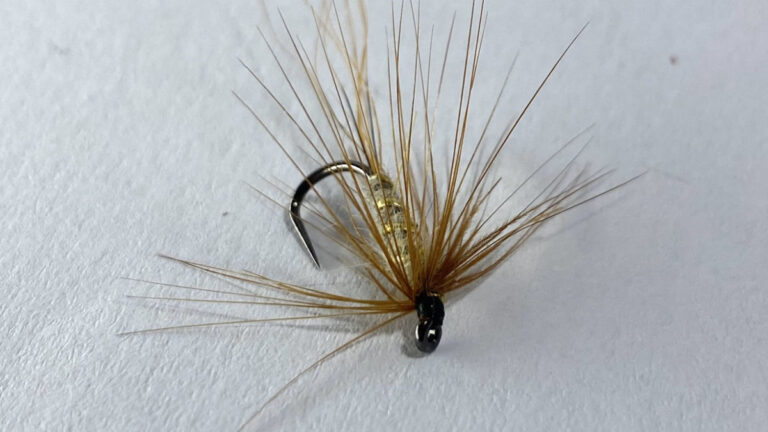 The 11 Best Emerger Fly Patterns for Successful Trout Fishing - Guide ...