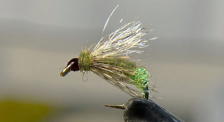 The 11 Best Emerger Fly Patterns for Successful Trout Fishing - Guide ...