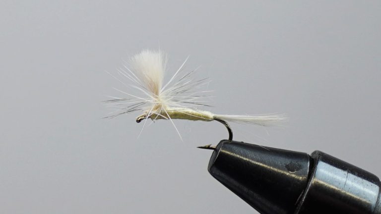 Expert Picks: 21 Best Mayfly Patterns for Trout - Guide Recommended