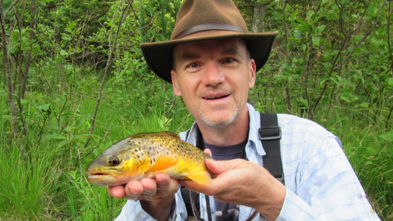 5 Favorite Fly Patterns for Lakes (Rainbow and Lake Trout) - Guide ...