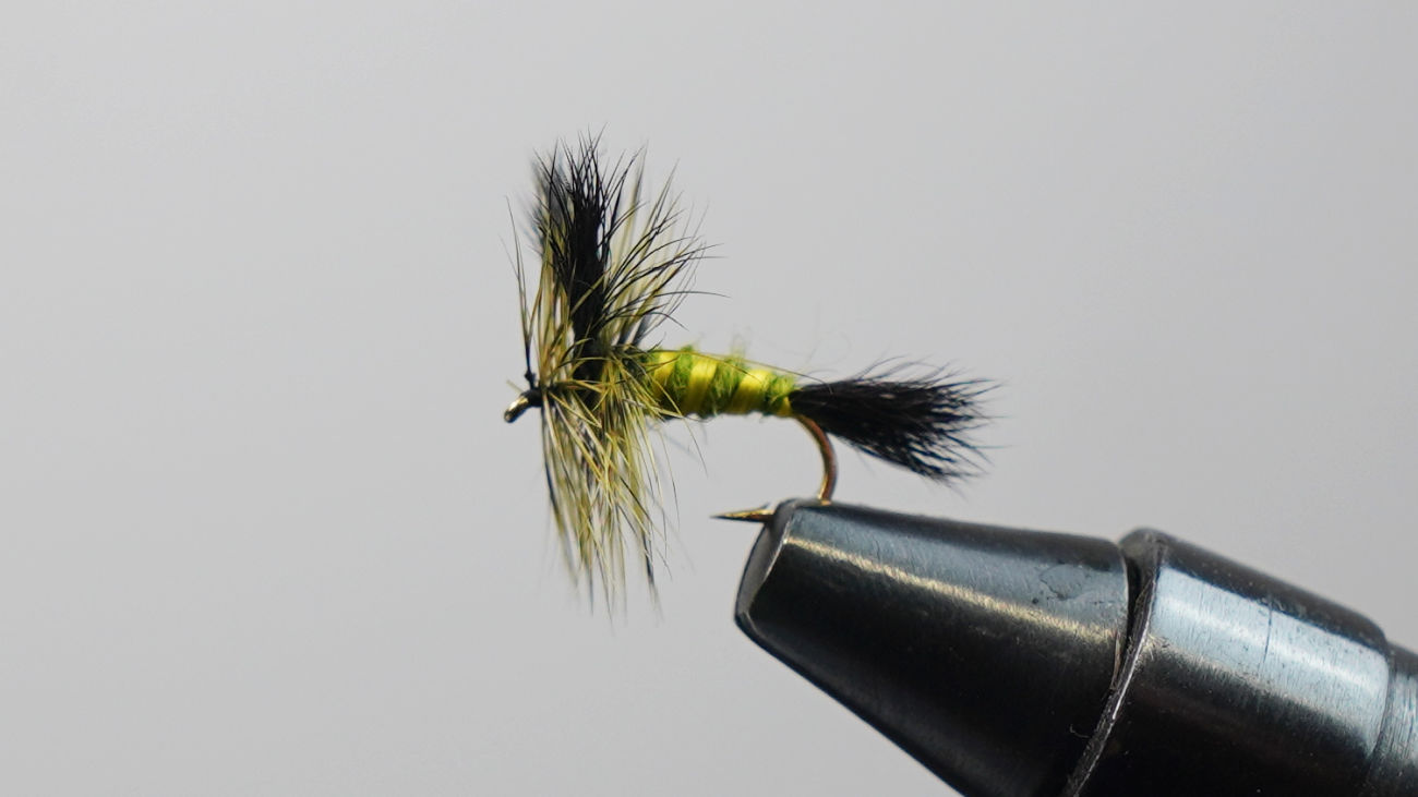Expert Picks: 21 Best Mayfly Patterns for Trout - Guide Recommended