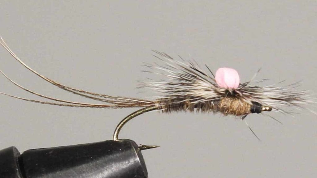 Expert Picks: 21 Best Mayfly Patterns for Trout - Guide Recommended