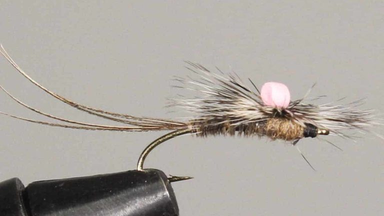 Expert Picks 21 Best Mayfly Patterns For Trout Guide Recommended