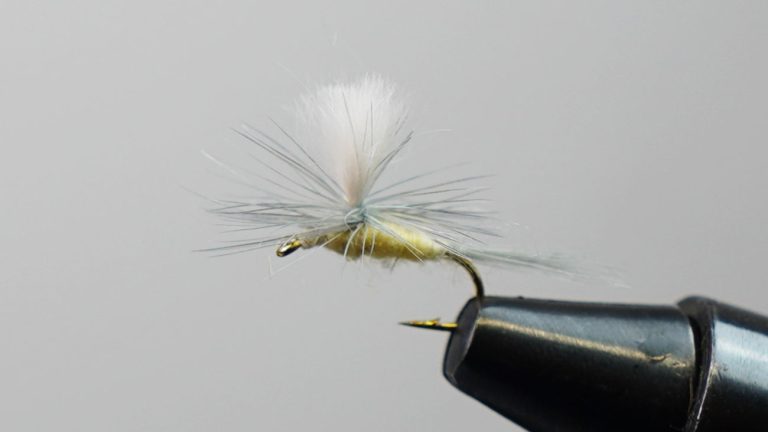 Expert Picks: 21 Best Mayfly Patterns for Trout - Guide Recommended