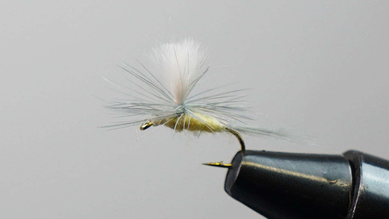 Expert Picks 21 Best Mayfly Patterns For Trout Guide Recommended