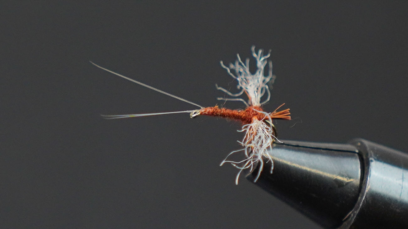 Expert Picks: 21 Best Mayfly Patterns for Trout - Guide Recommended
