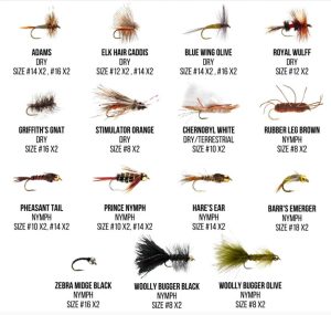 Ventures Fly Co 40 Fly Assortment Review: Start Fly Fishing Right ...