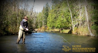 Home - Guide Recommended